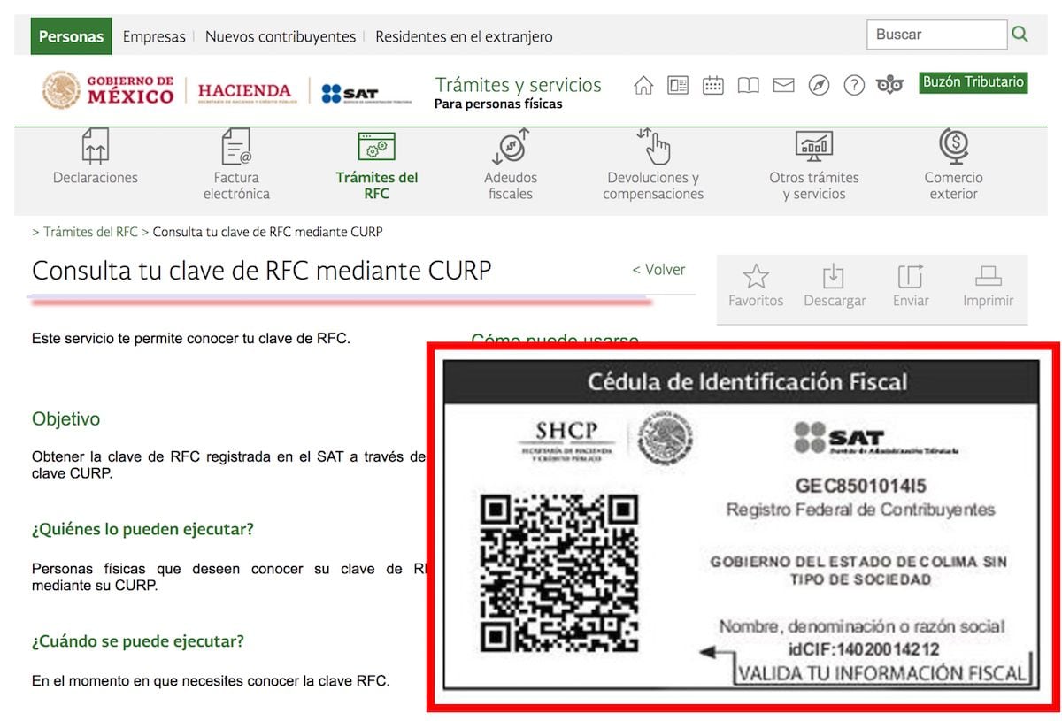 Como Imprimir Mi Rfc Del Sat Con Curp Mexico - Infoupdate.org