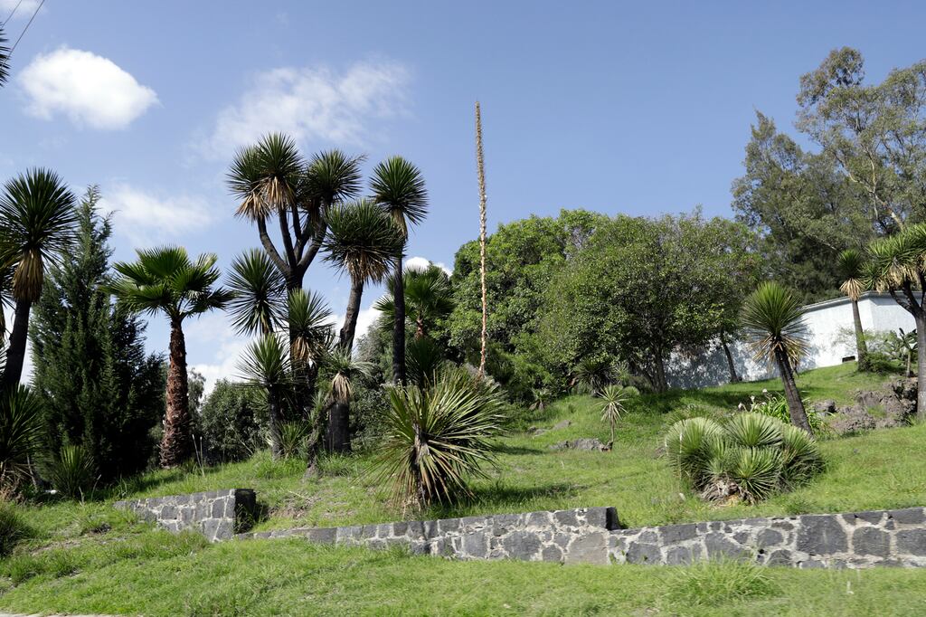 Casa Puebla: ¿dónde se ubica y cómo opera el espacio cultural y recreativo? – Publimetro México