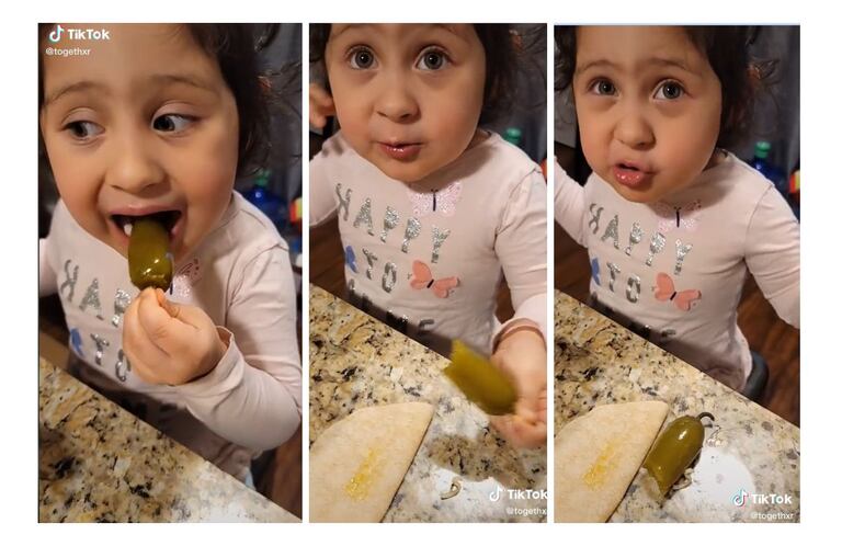 Chipotle: Descubre la historia y proceso de elaboración de este chile ...