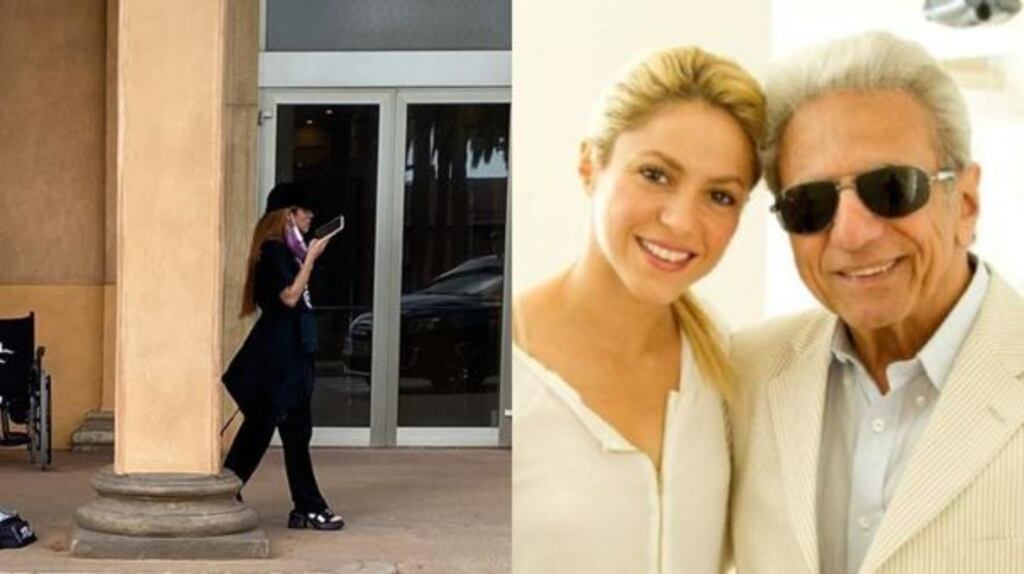 Shakira: ¿Quiénes son los 9 hermanos de la cantante y el que falleció que fue su inspiración ...