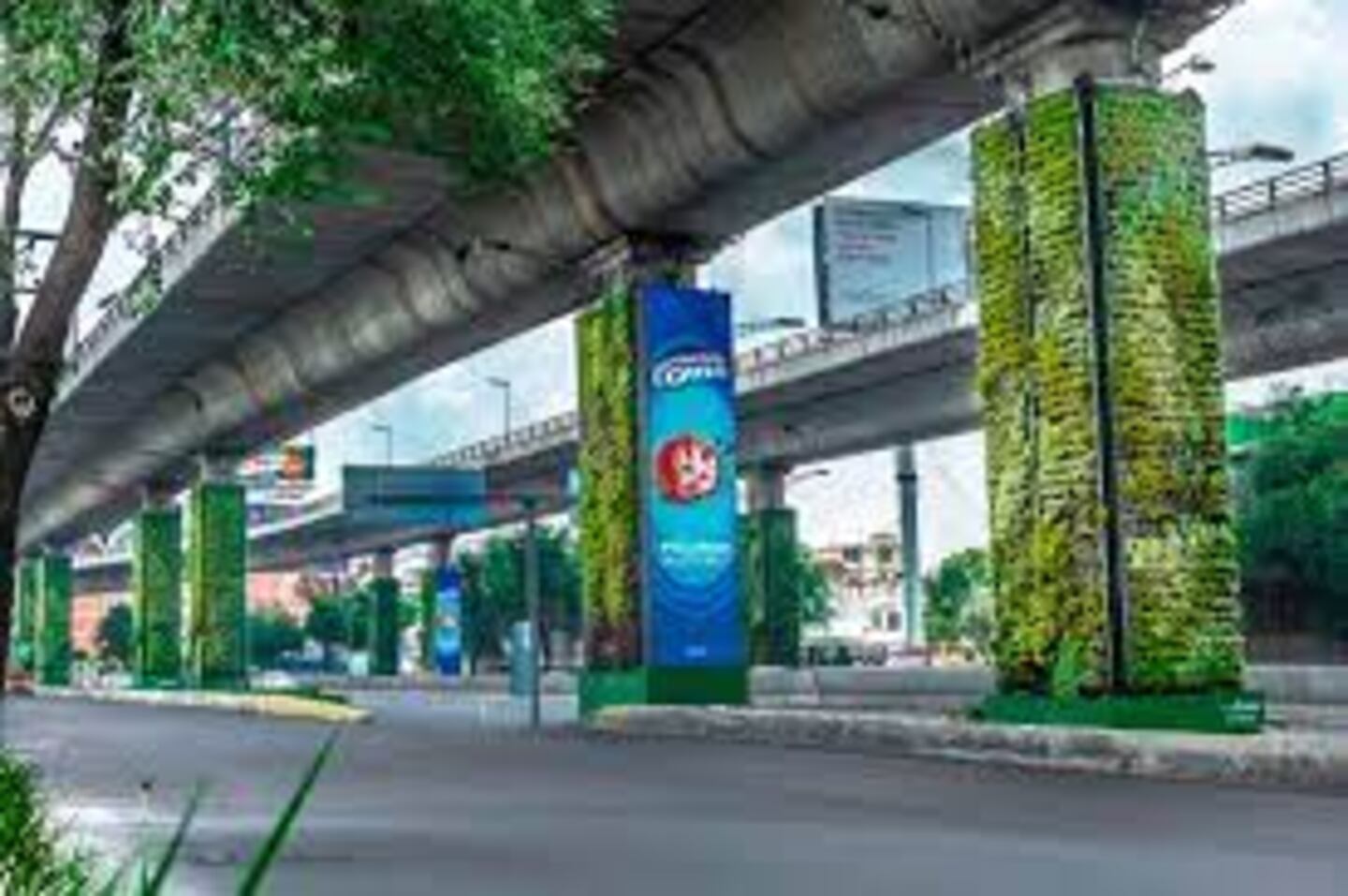 Publicidad Vía Verde CDMX: ¿Qué son los jardines verticales y horizontales? – Publimetro México