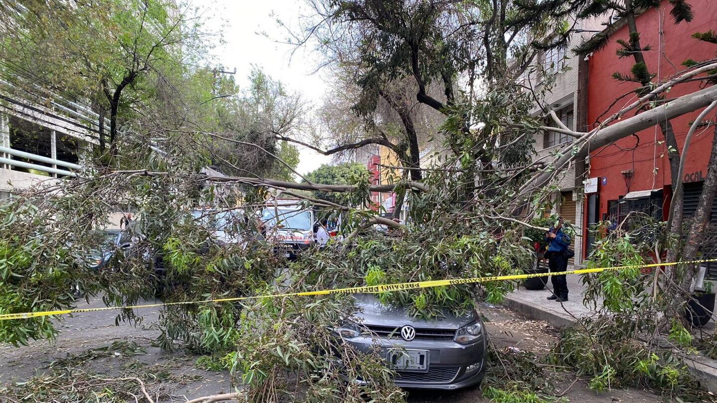 Activan Alerta Amarilla Por Fuertes Vientos En Toda La Cdmx