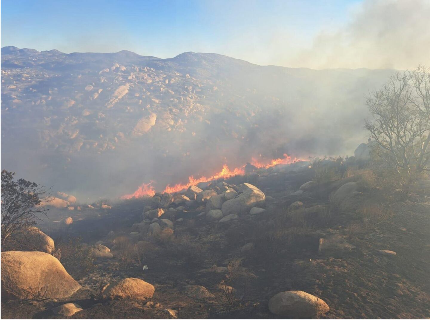 Dos incendios forestales de gran magnitud afectan los alrededores de ...
