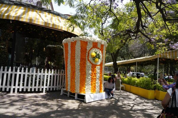 Festival de las Flores y Jardines en Polanco, fechas, horarios y ...