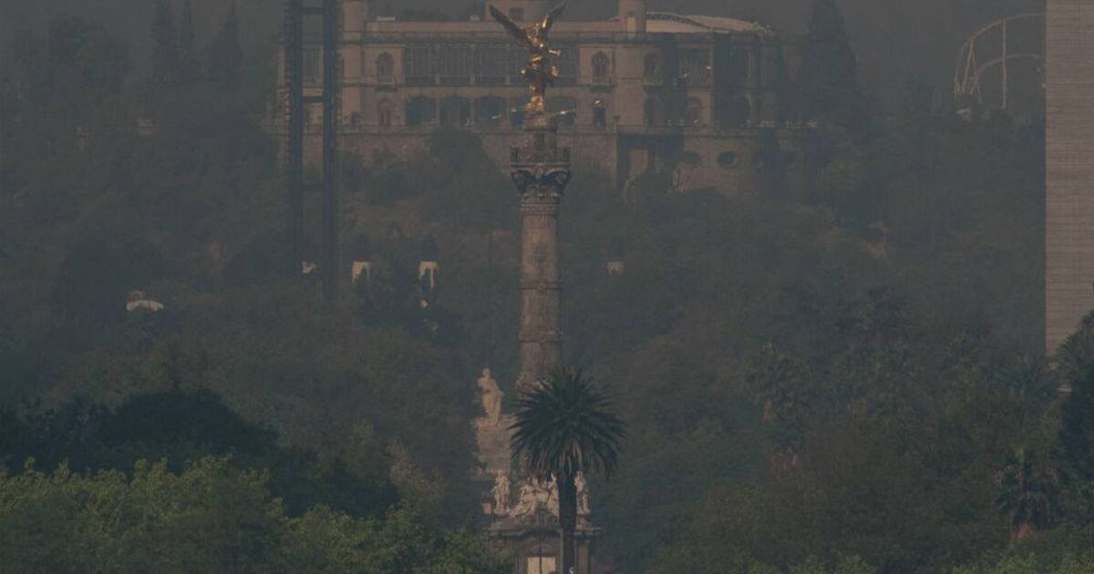 ¿qué Son Las Partículas Pm2 5 Las Más Tóxicas Para La Salud