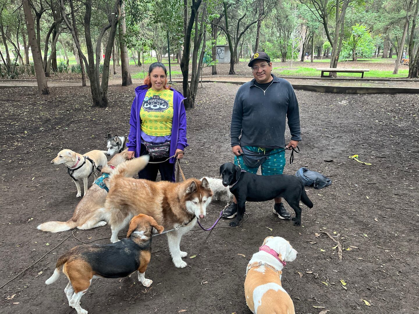 “Los autos hacen más ruido que los perros”, vecinos exigen reapertura ...
