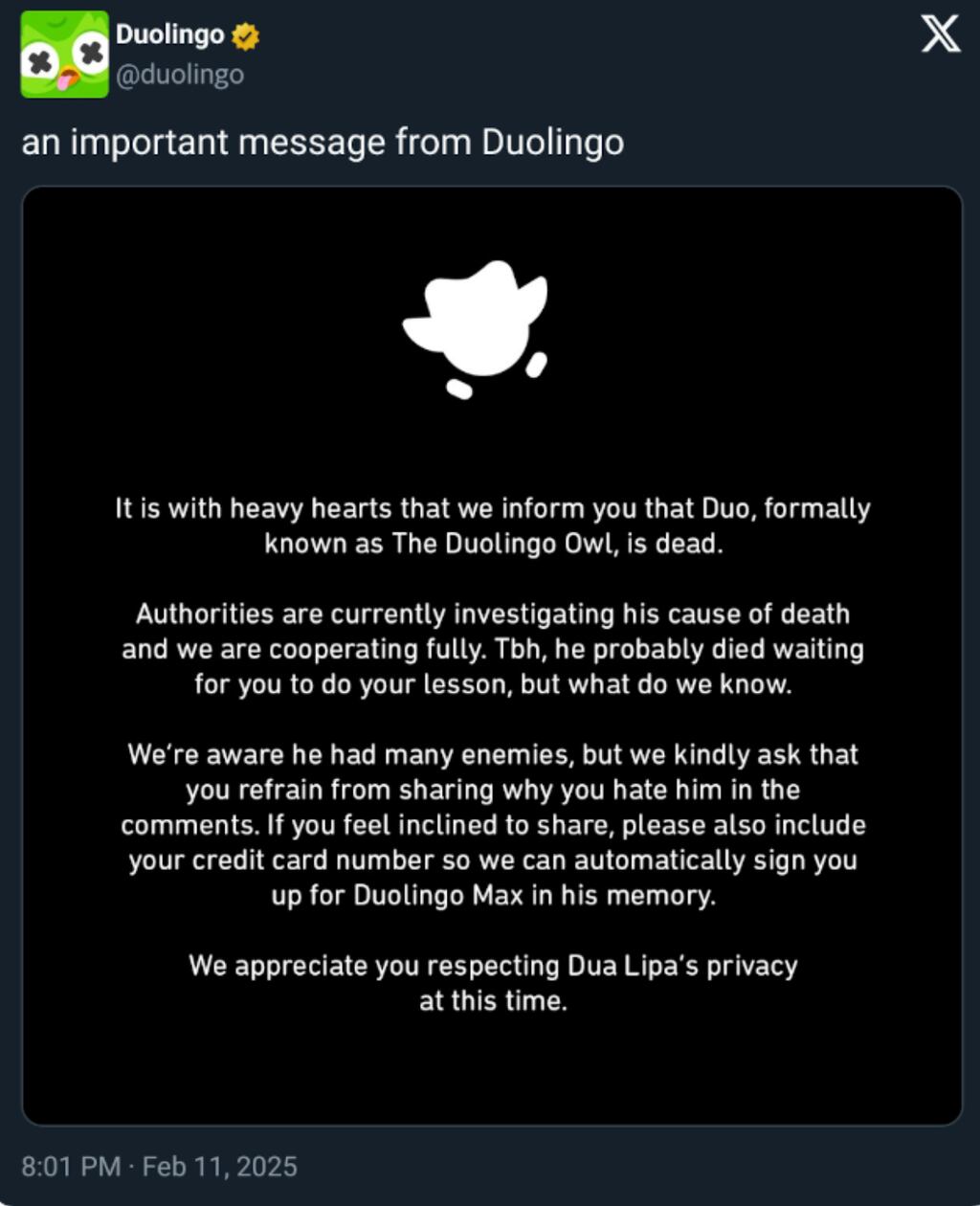 Duolingo anuncia la muerte de su mascota Duo y revela las causas, ¿qué ...
