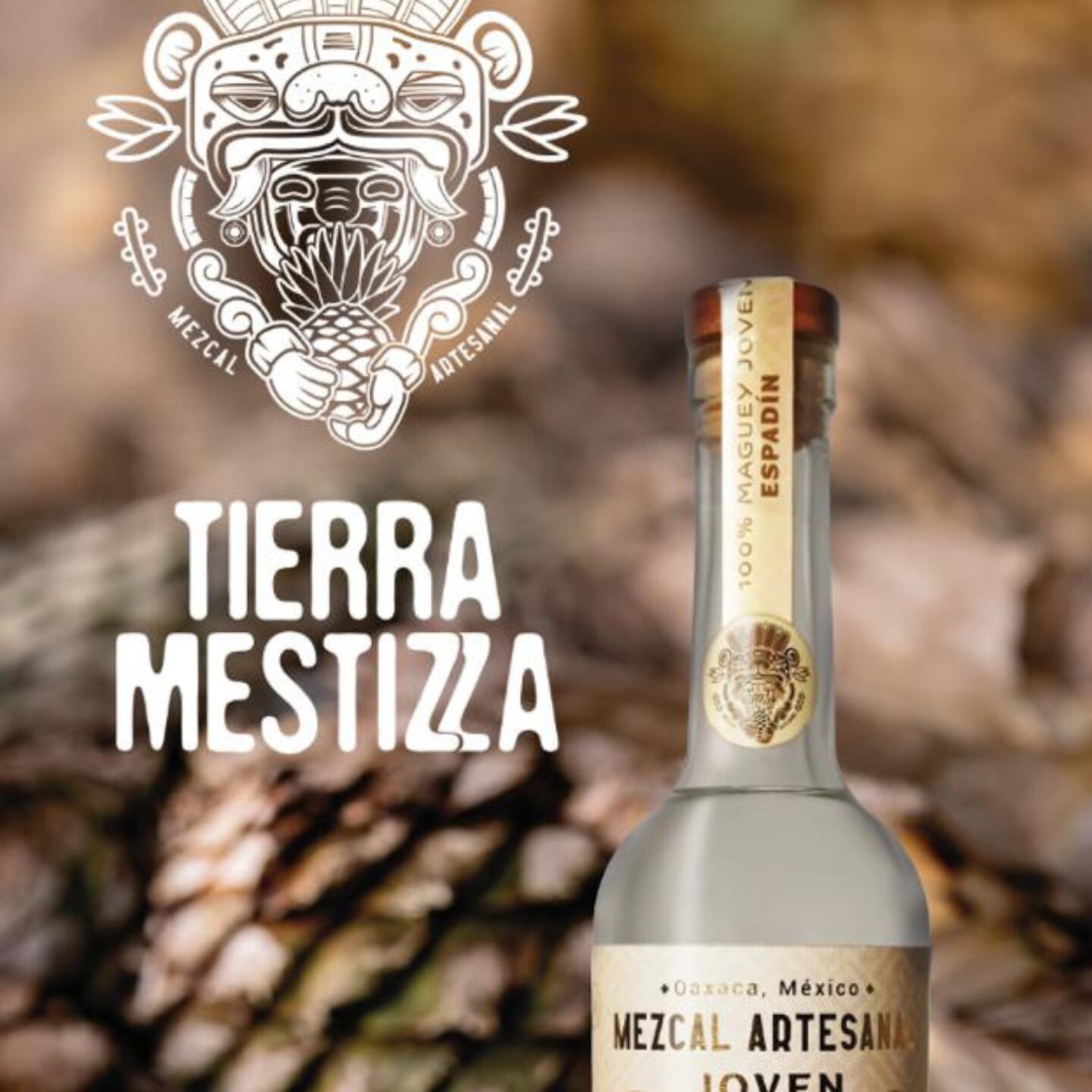 Flor de Piña y Tierra Mestizza, los nuevos mezcales de Oaxaca que ...