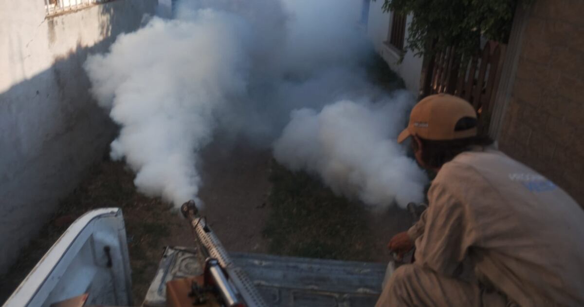 El Serotipo 3 La Variante De Dengue Más Riesgosa Y Que Requiere