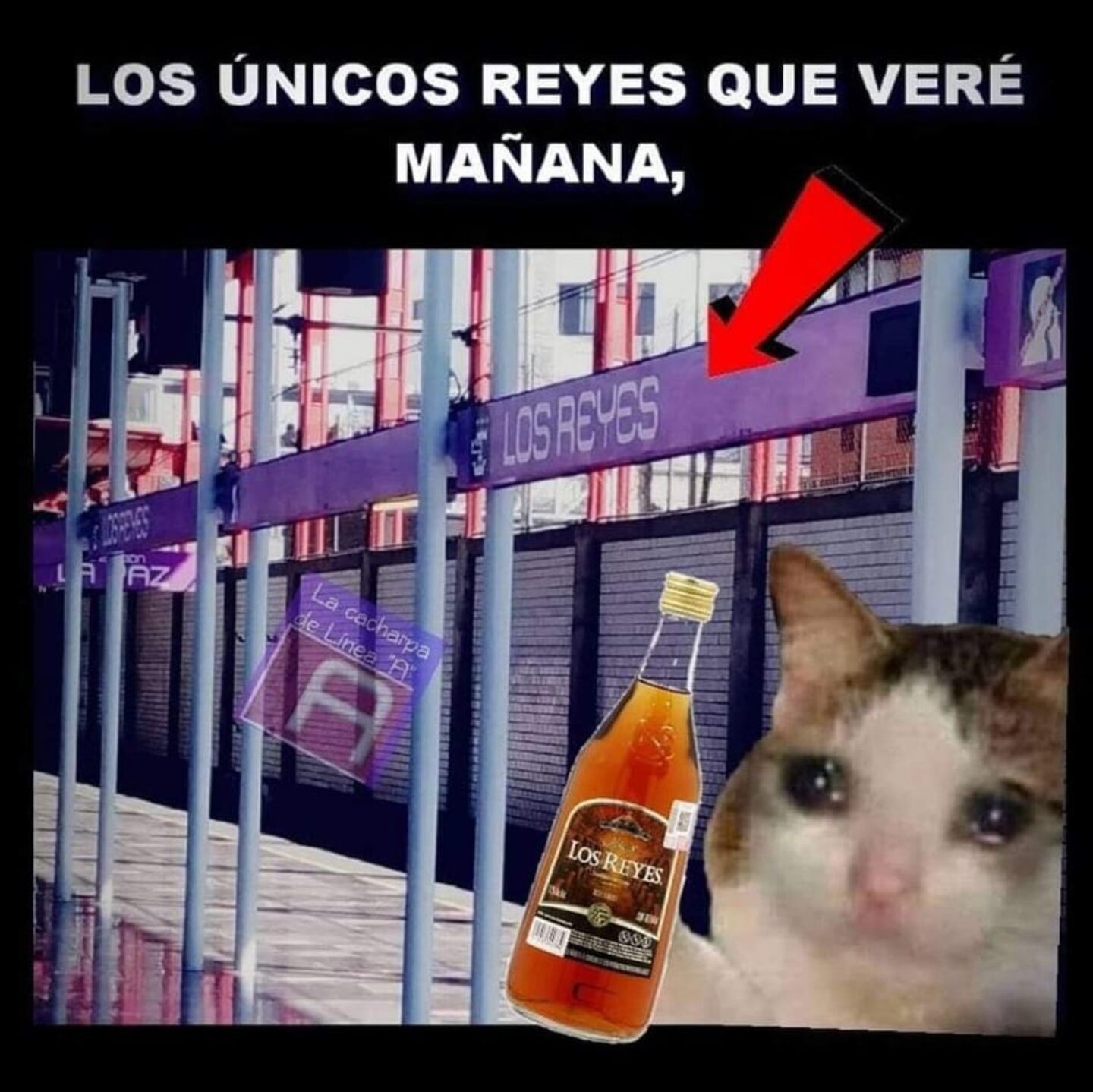 Los mejores memes de Día de Reyes en redes sociales – Publimetro México