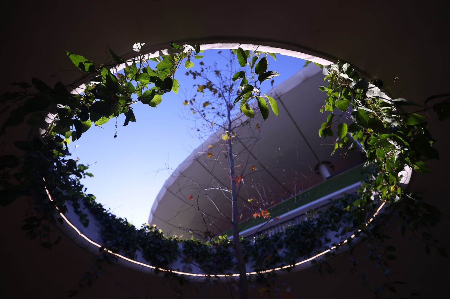 Museo Jorge Vergara: El primer espacio de arte contemporáneo dentro de ...