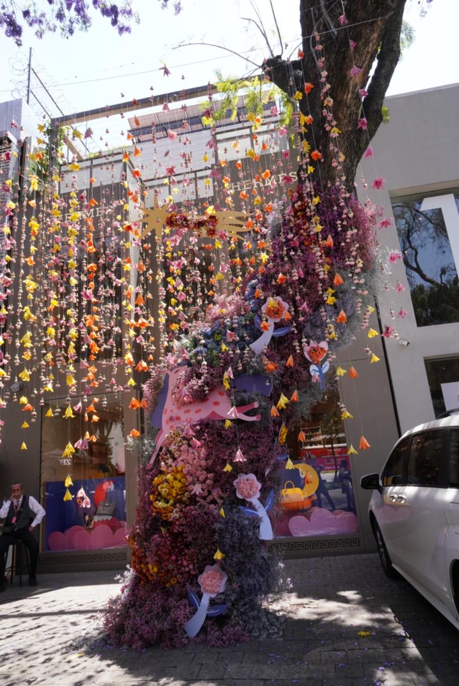 Festival de las Flores y Jardines en Polanco, fechas, horarios y ...