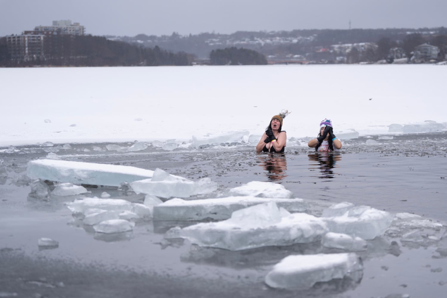 Canadienses se sumergen en aguas heladas para celebrar la llegada de ...