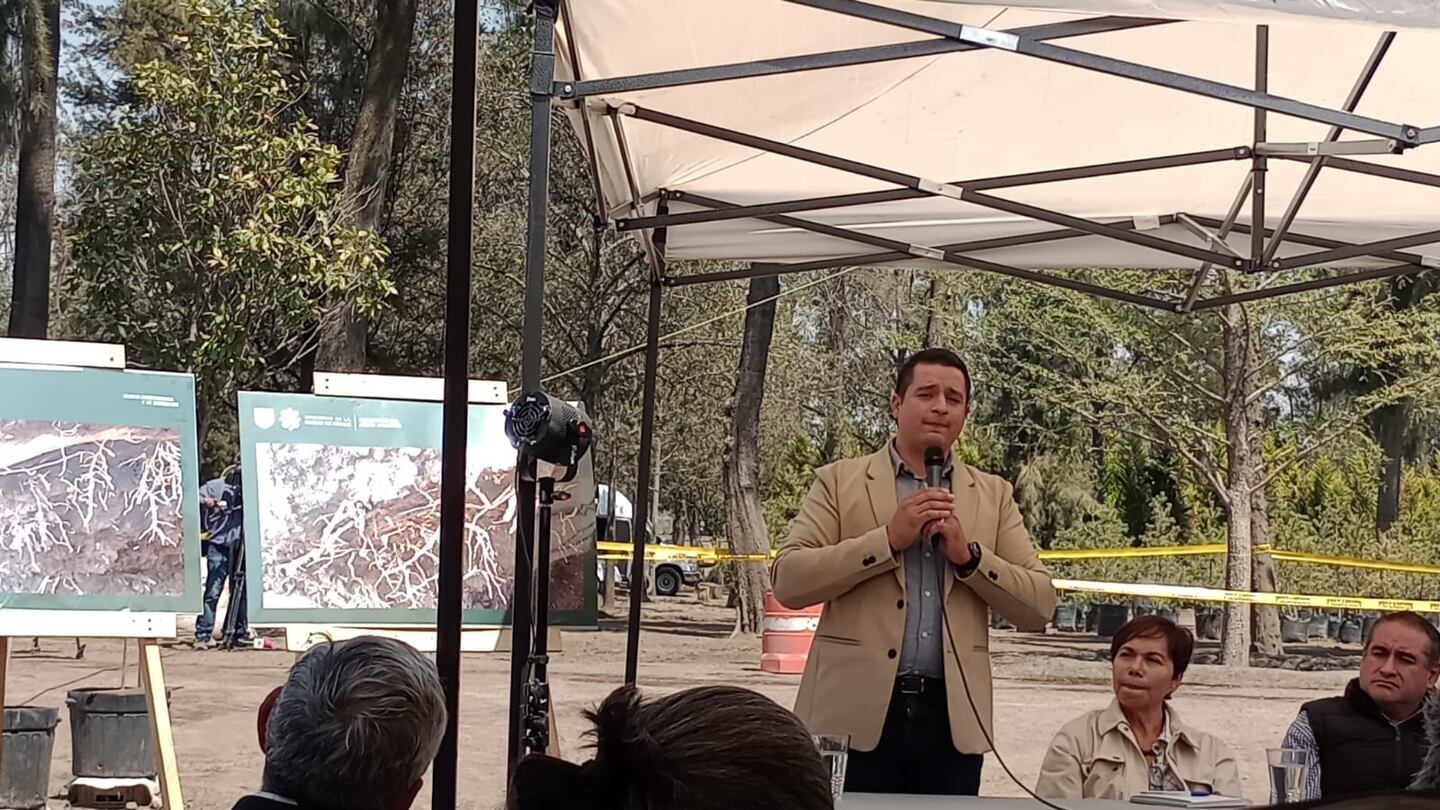 CDMX: Cambiarán y rehabilitarán ahuehuete de Reforma – Publimetro México