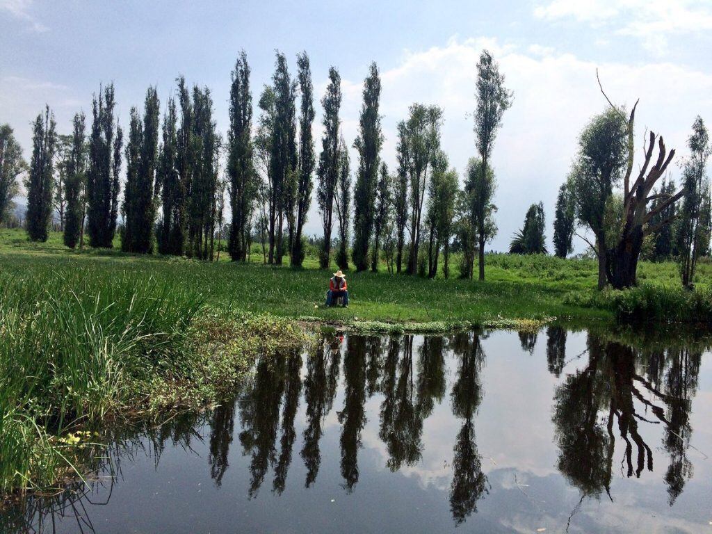 Lago Tláhuac Xico designado área naatural protegida por su importancia ...
