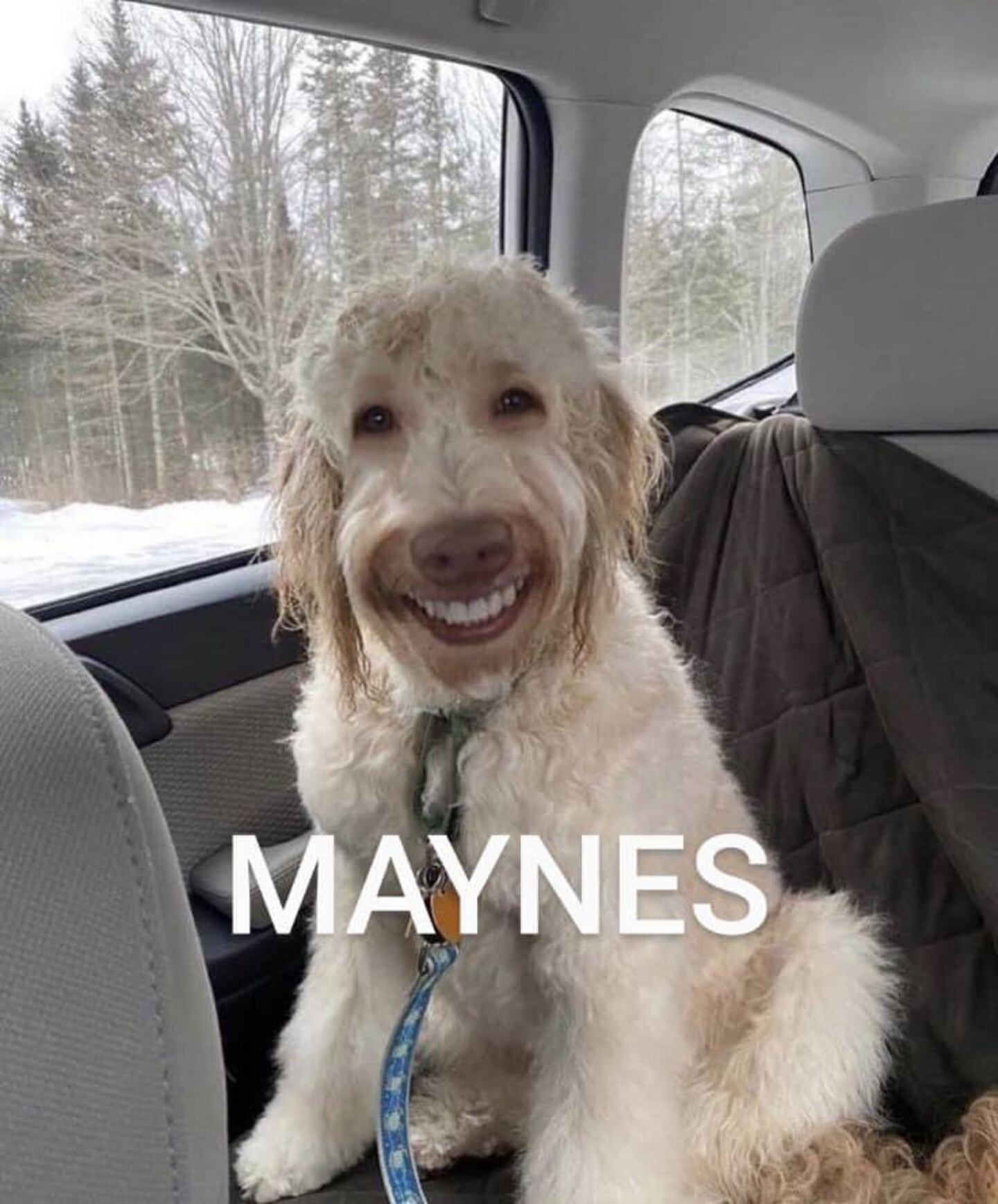 Memes del segundo debate presidencial entre Sheinbaum, Gálvez y Máynez ...