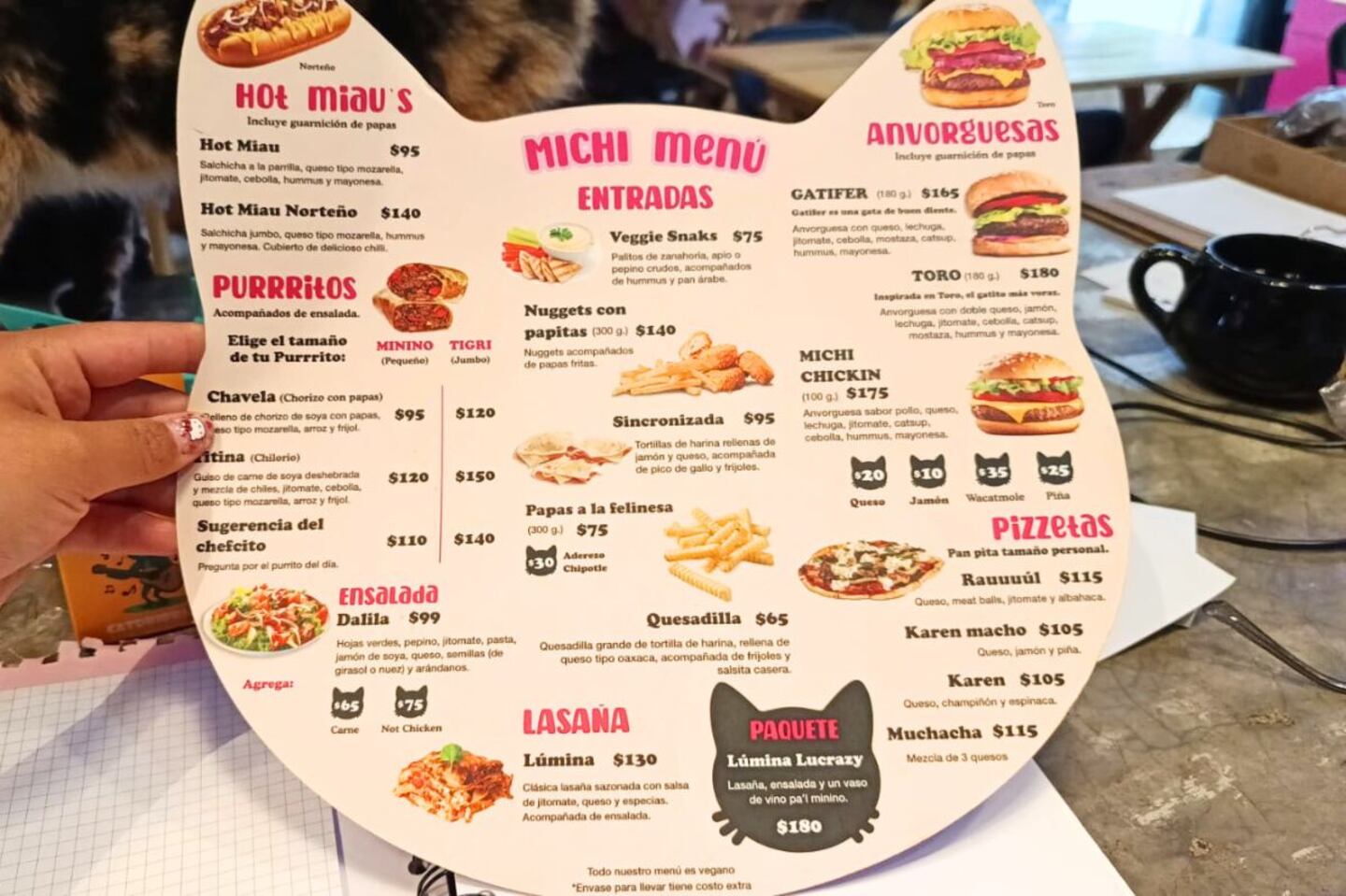 31 gatitos: café temático para amantes de los felinos en la CDMX ...