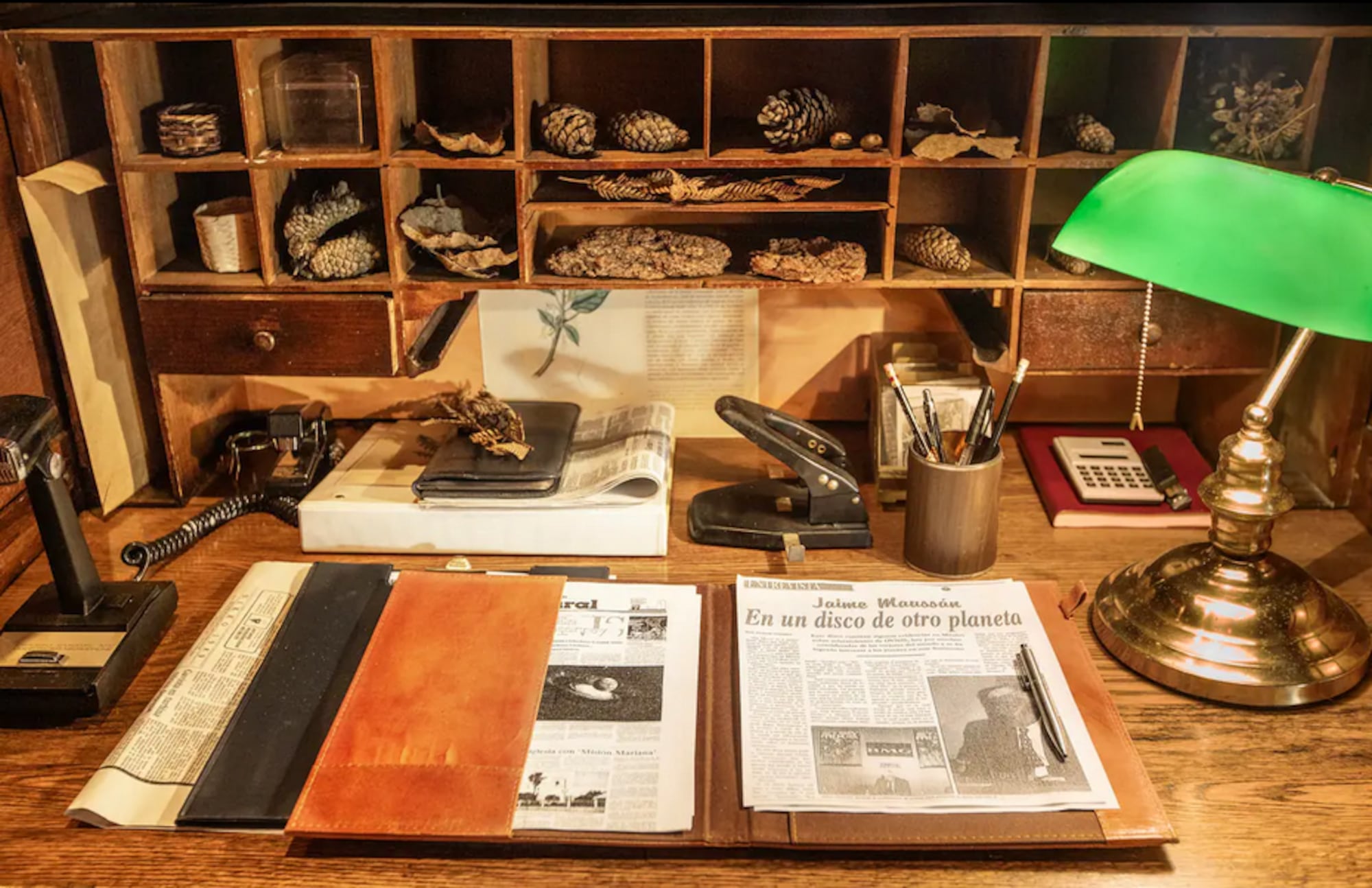 Fotos: Así es la casa de Jaime Maussan para vivir una ‘experiencia ...